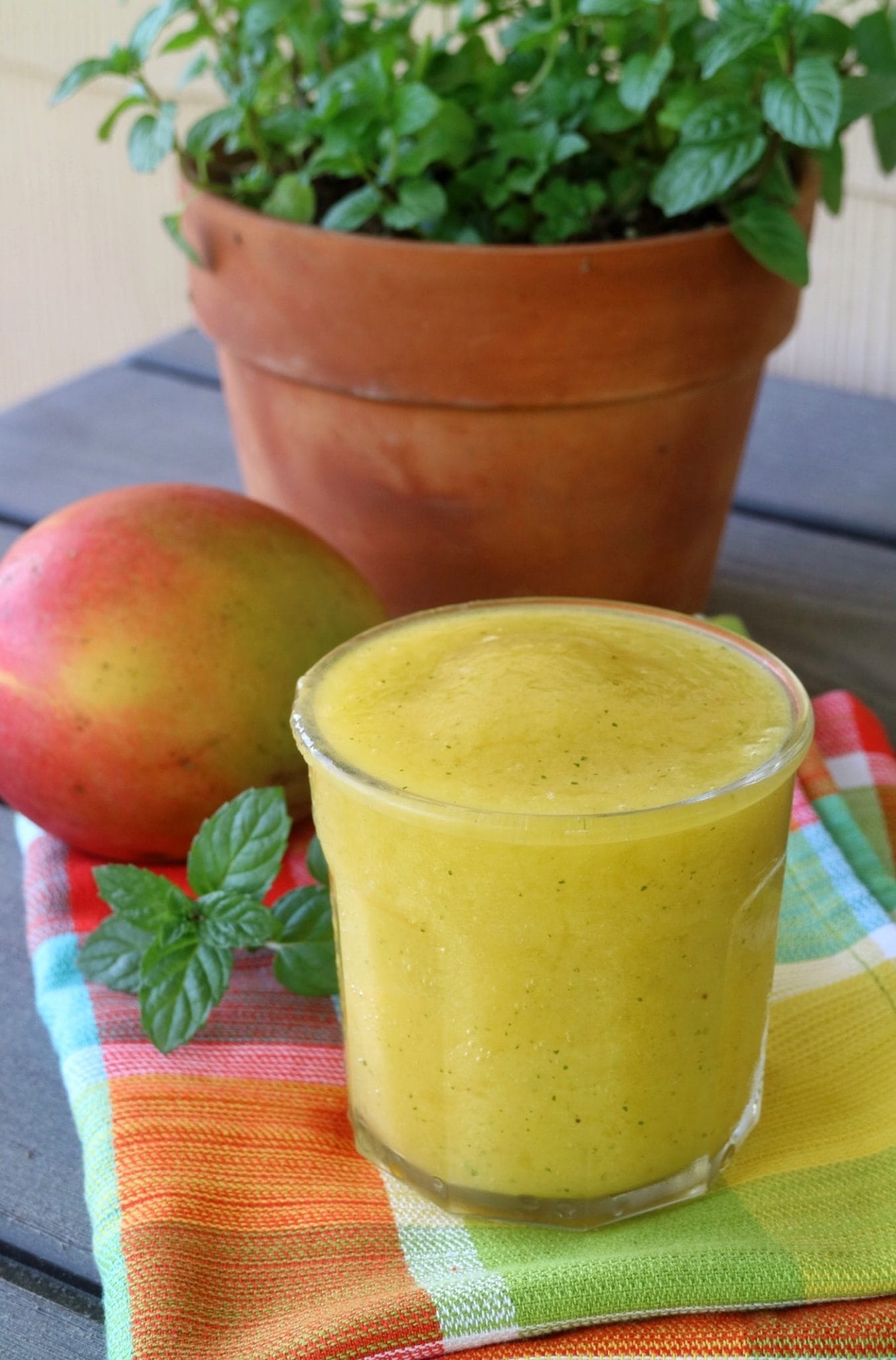 Mango Coconut Water Slush | The Nutrition Adventure